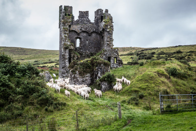 Dingle Castle Elopement - Elope To Ireland